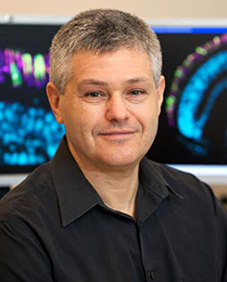 Andrew F.X. Goldberg - Eye Research Institute - Oakland University